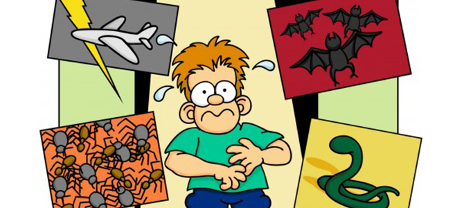 Fobi Çeşitleri - Psikiyatrist Prof. Dr. M. Reha Bayar